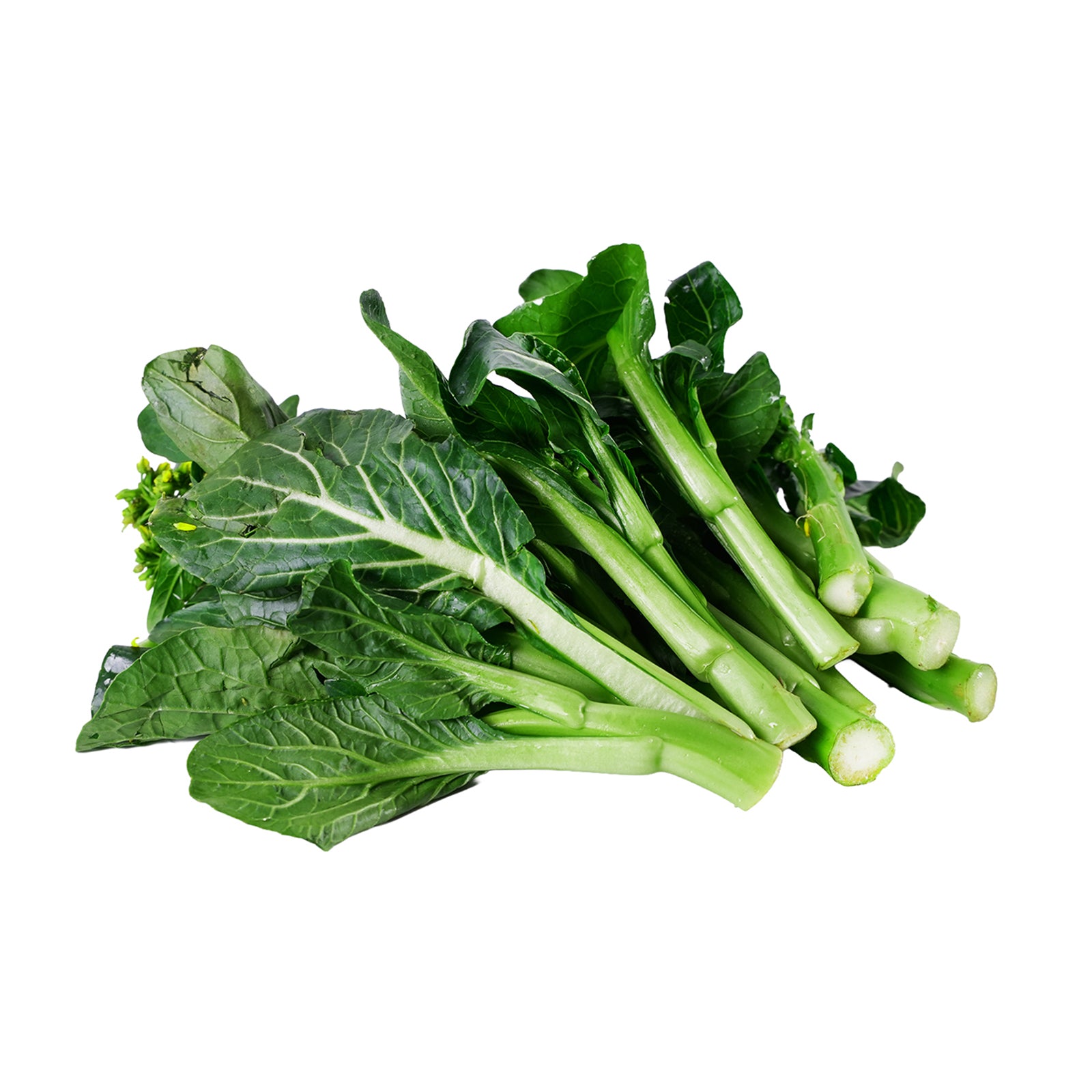 Hong Kong Baby Sawi (China) 200g – Jaya Grocer | Plaza Jelutong