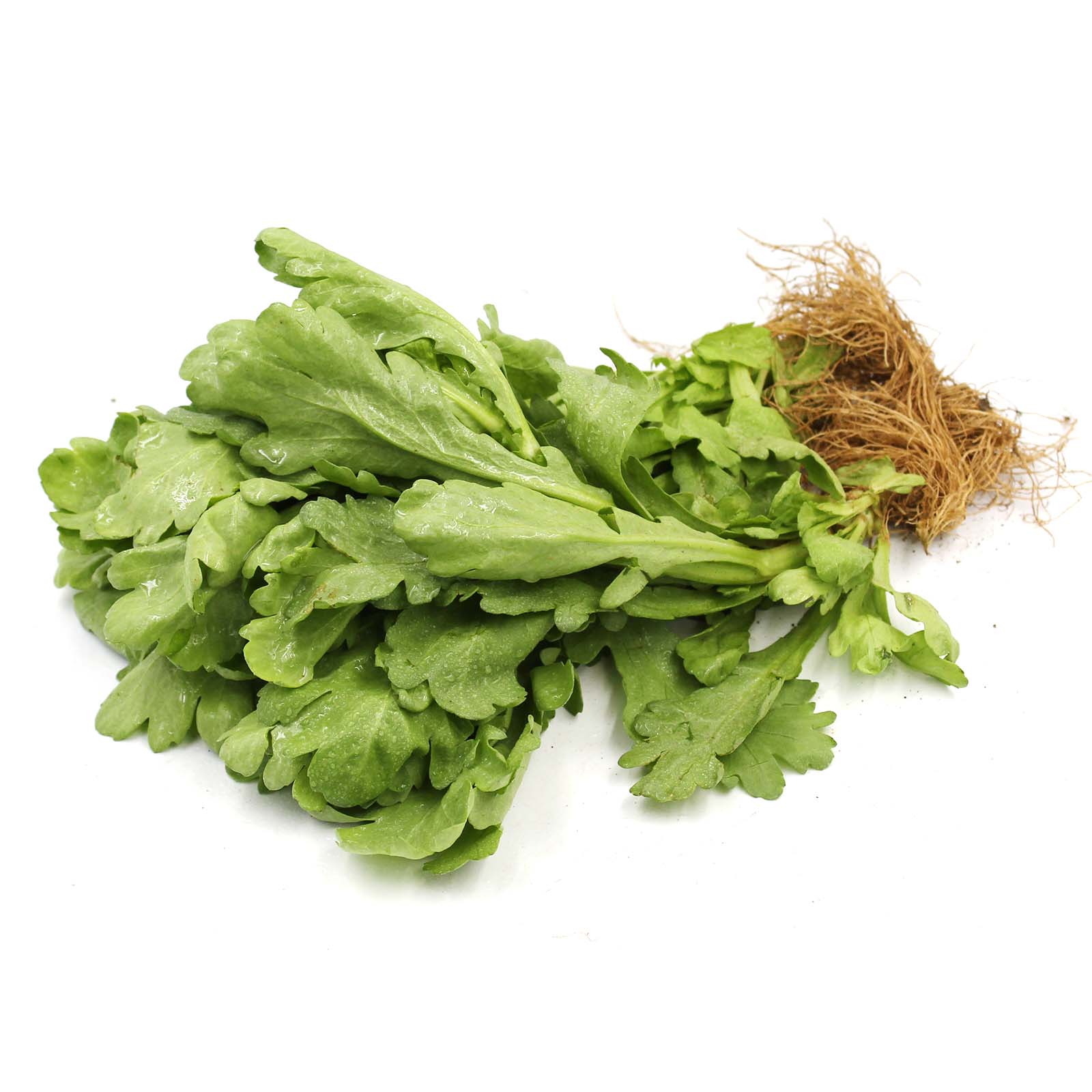 Crown Daisy (Tong Ho)