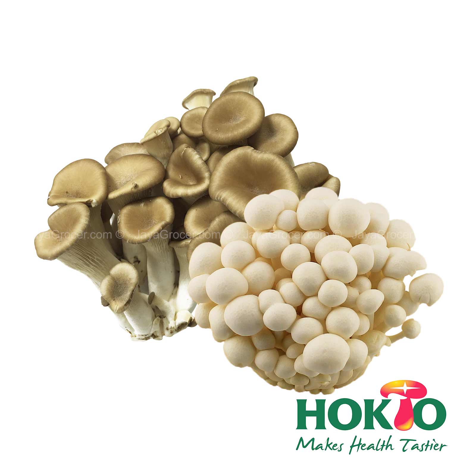 Hokto Maitake and Bunapi Mushroom 1pack – Jaya Grocer | Plaza Jelutong
