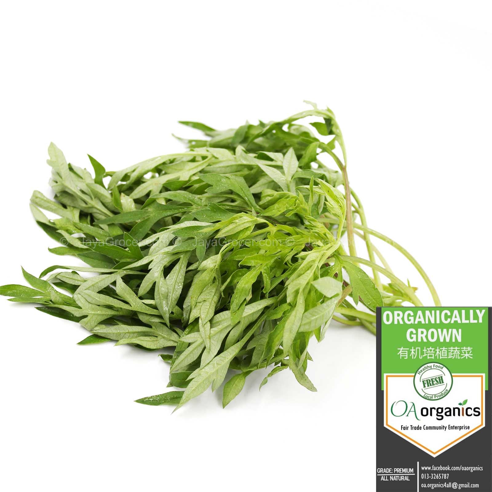 OA Organics Ulam Raja 50g – Jaya Grocer | Plaza Jelutong